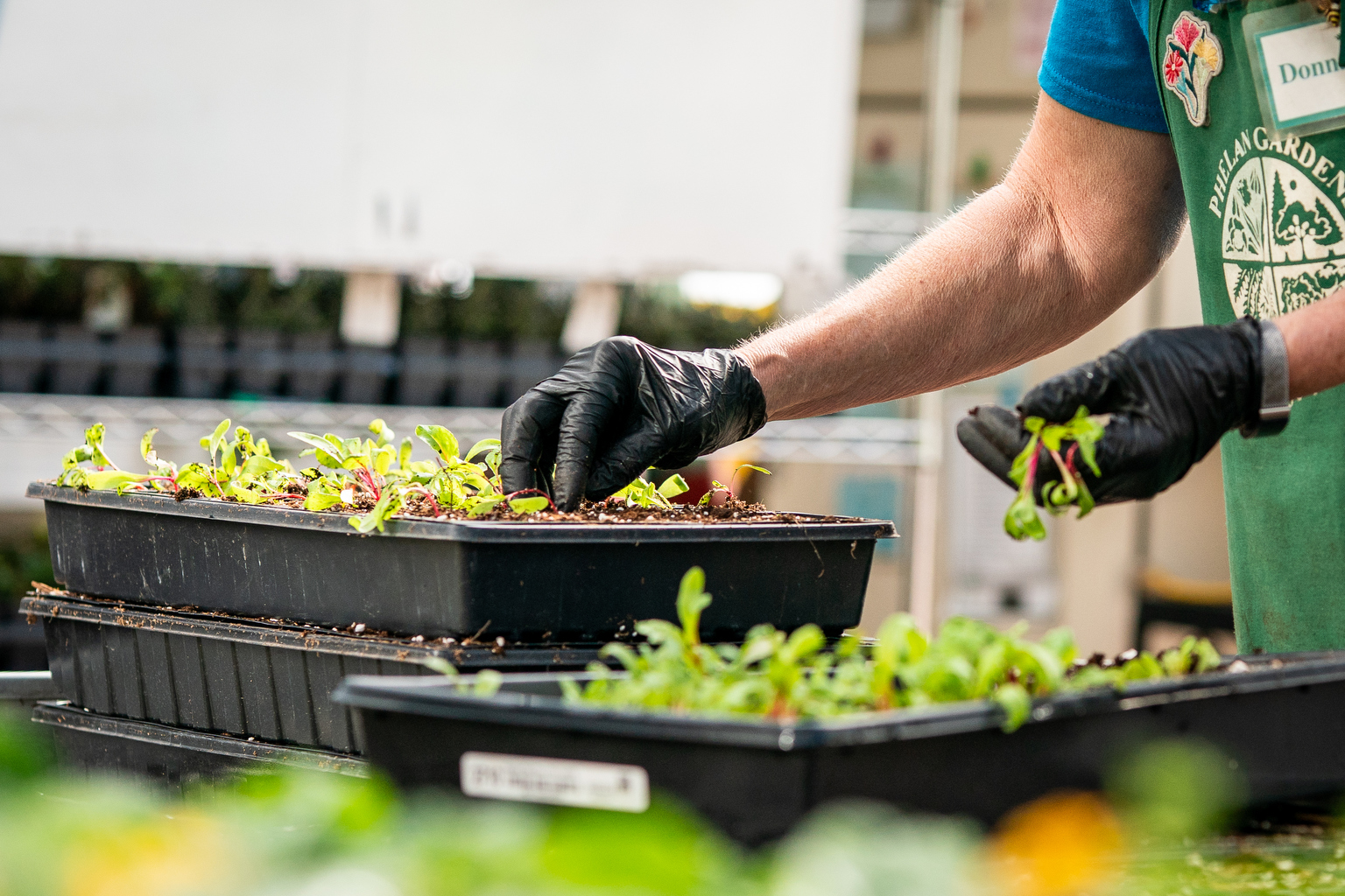 March 19, 2025: Fighting violent crime in Pueblo; From plants to pests, spring gardening ...