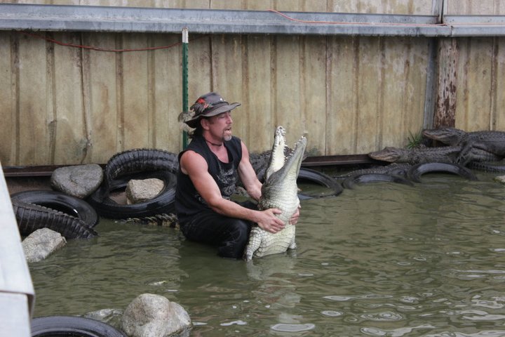 Morris the alligator, once a Hollywood star, dies of old age at San ...