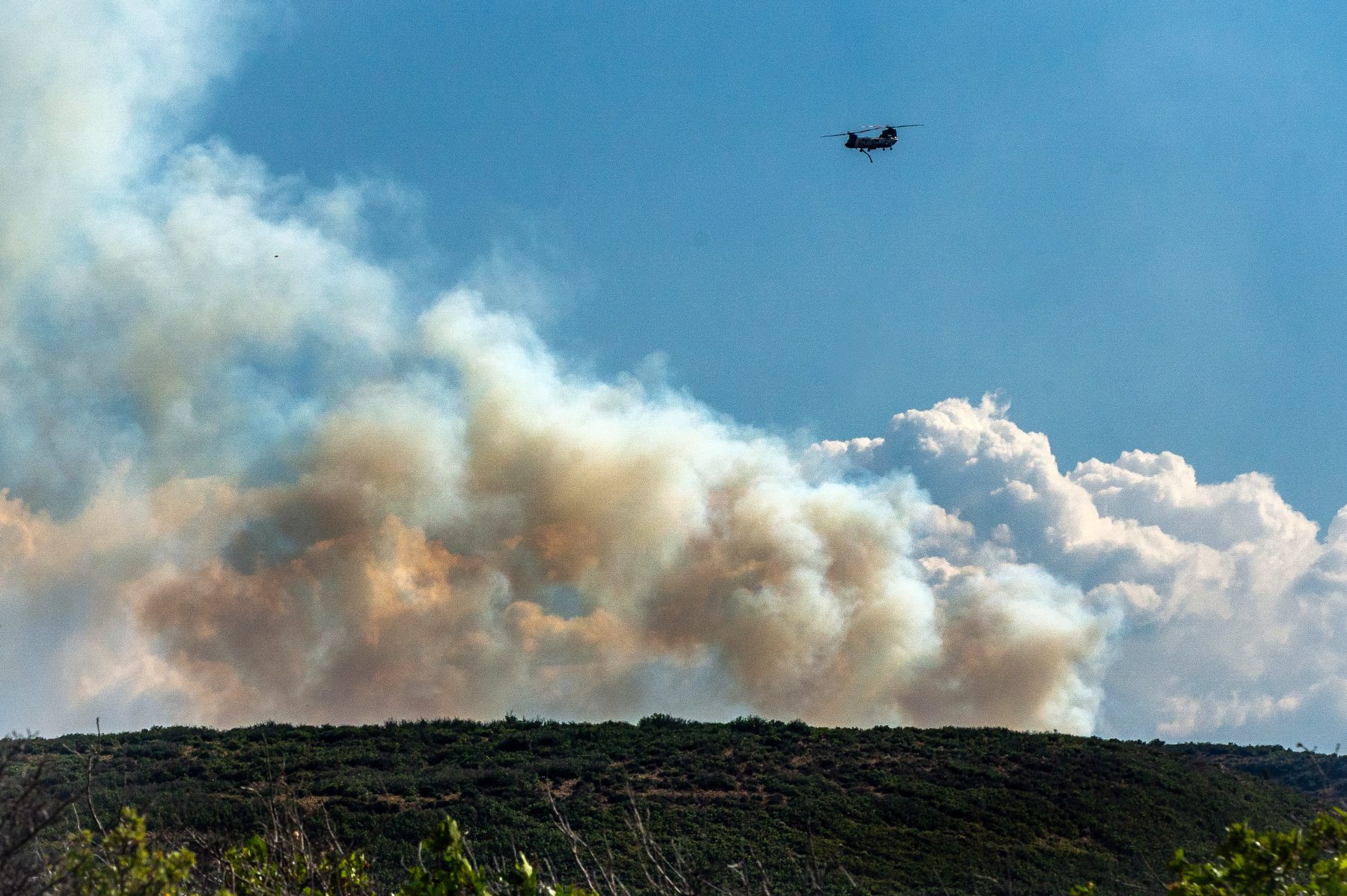 Gov. Polis declares emergency as South Rim fire in Black Canyon of ...