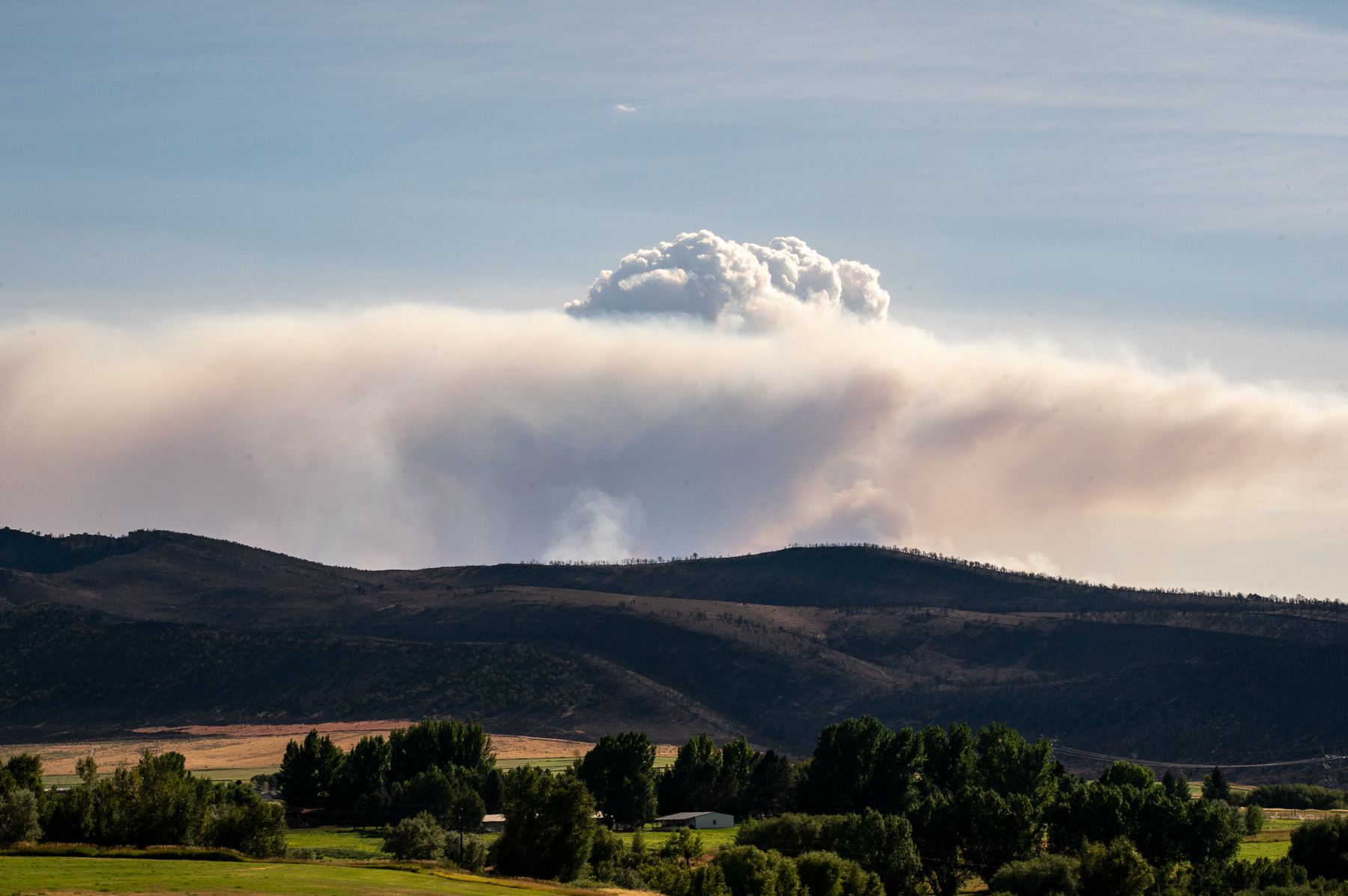 August 12, 2025: Wildfire updates, sports betting breaks records, new ...