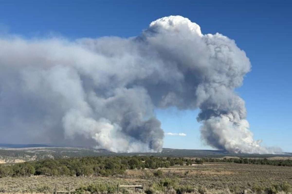 Gov. Polis declares state of disaster for Western Slope wildfires, Lee ...