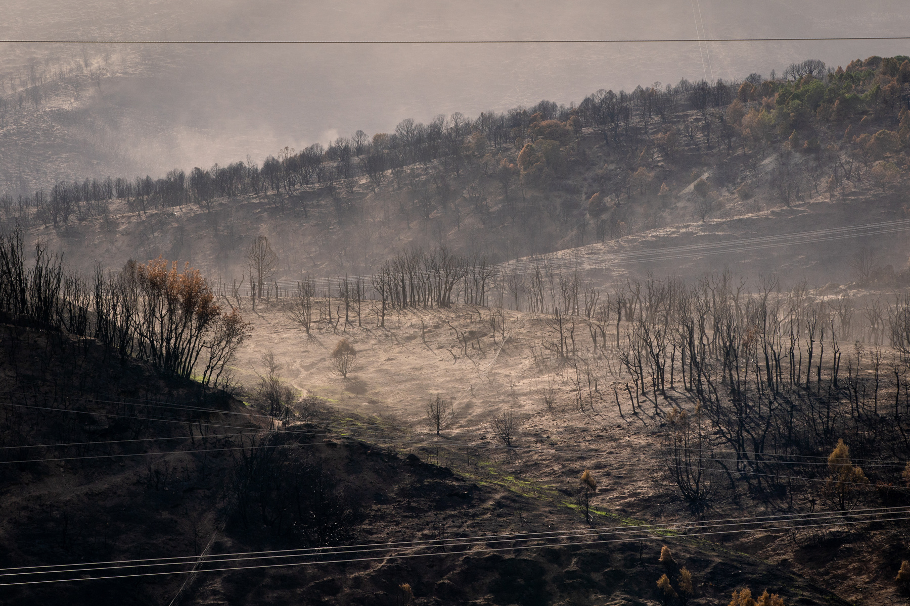 State appeals FEMA aid rejection