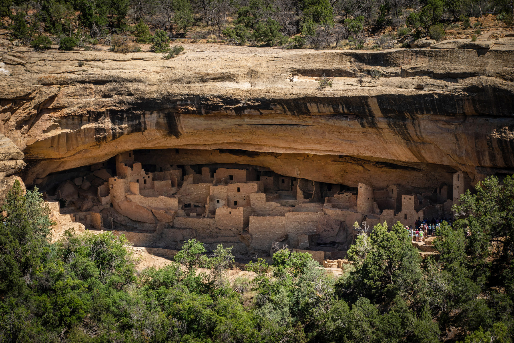 Visitors to Southwest Colorado’s Mesa Verde National Park can now hear from its direct descendants