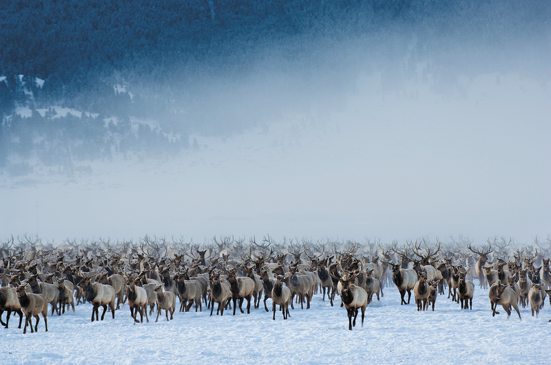 Dec. 10, 2025: In 'Roam,' stories of people knitting the natural world ...