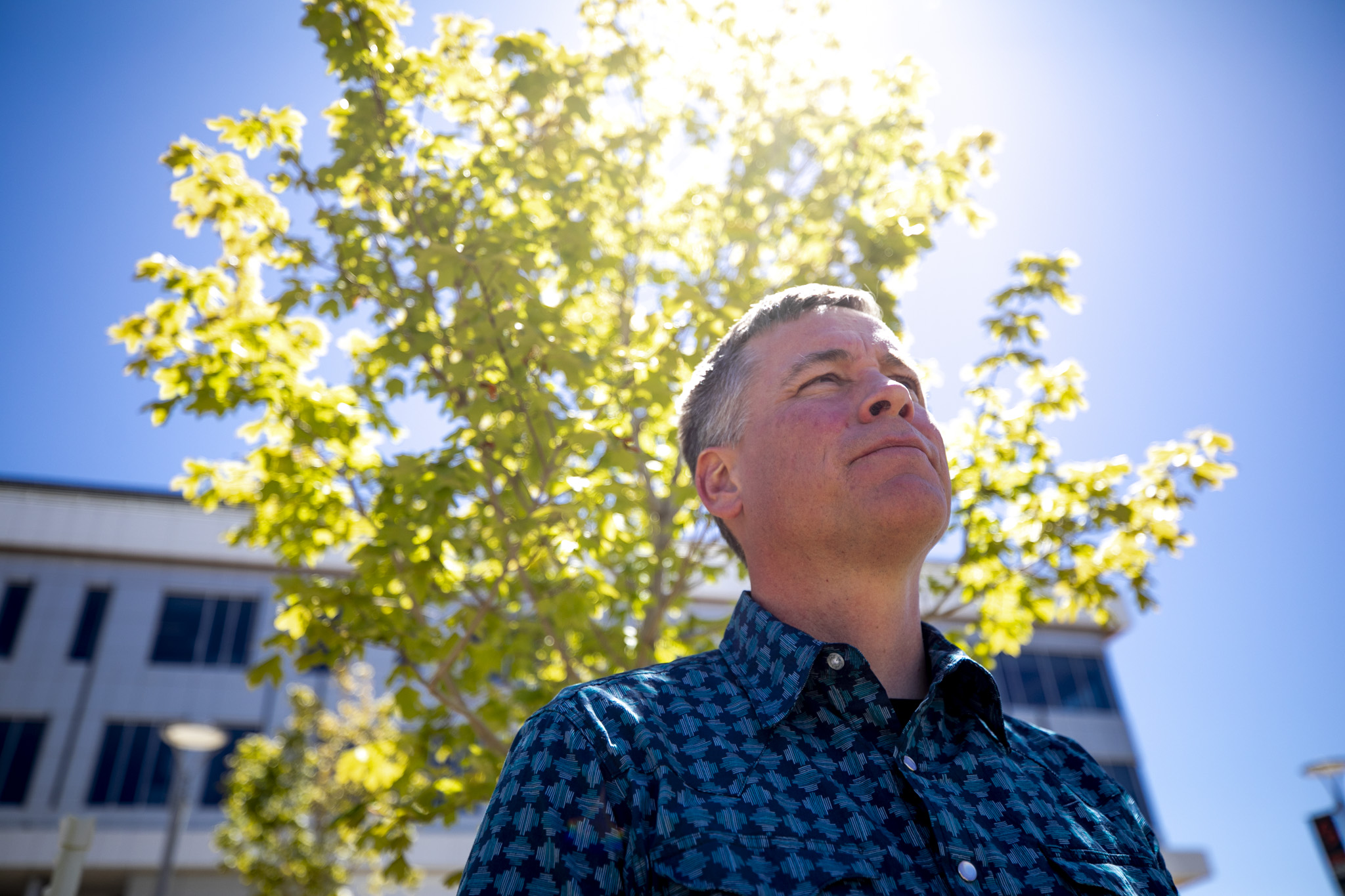Listen: The search is on for Denver’s next great shade tree